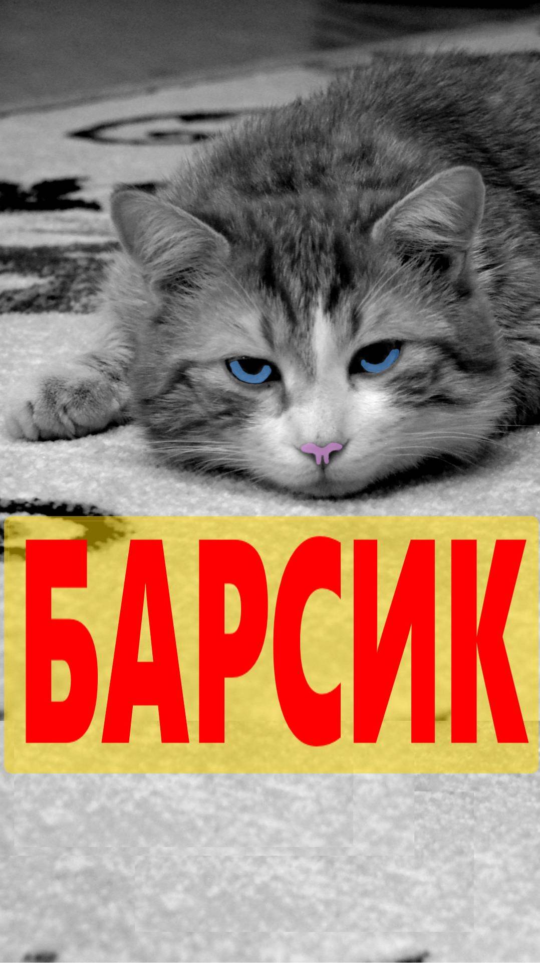 Все дикие животные отрабатывают навыки в охоте до совершенства.