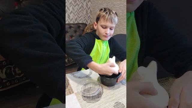 котопудинг🍮🐱