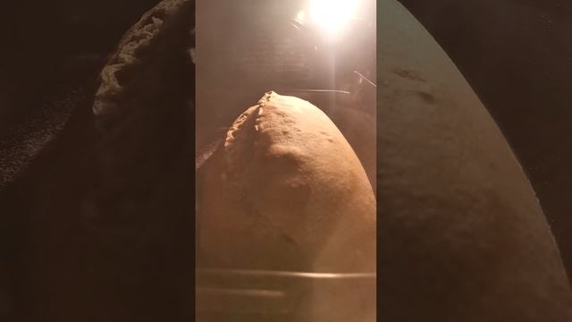 Вермонтский хлеб | таймлапс