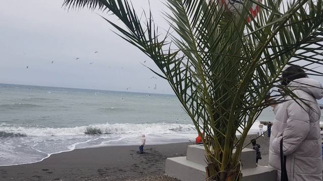 Погода портится. Не так и обидно - уже послезавтра "сматывать удочки"))