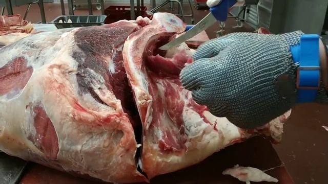 Обвалка говядины. Задняя четверть! Все что нужно знать!!!