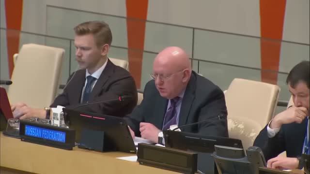 (18+) Заседание СОВБЕЗа ООН от 20 января 2023 года. Доклад жительницы  #Донецк -а