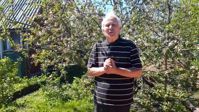 Несказанное, синее, нежное... Есенин Сергей Александрович