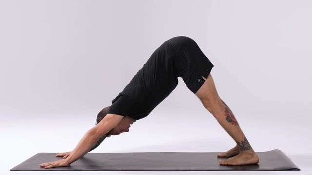 Собака мордой вниз (Downward Dog Adho Mukha Svanasana Tutorial with Dylan Werner)