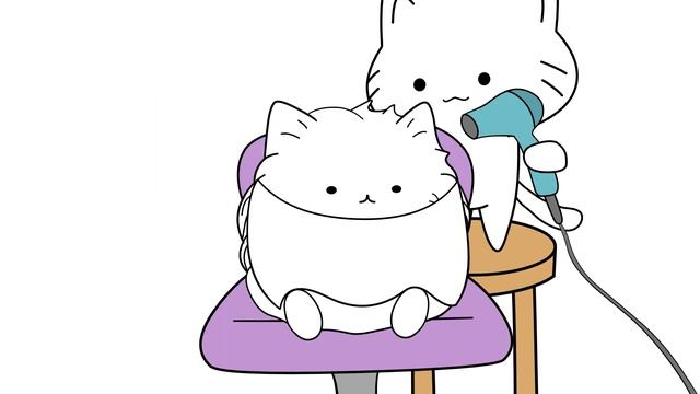 Котенок Кошик - Салон красоты