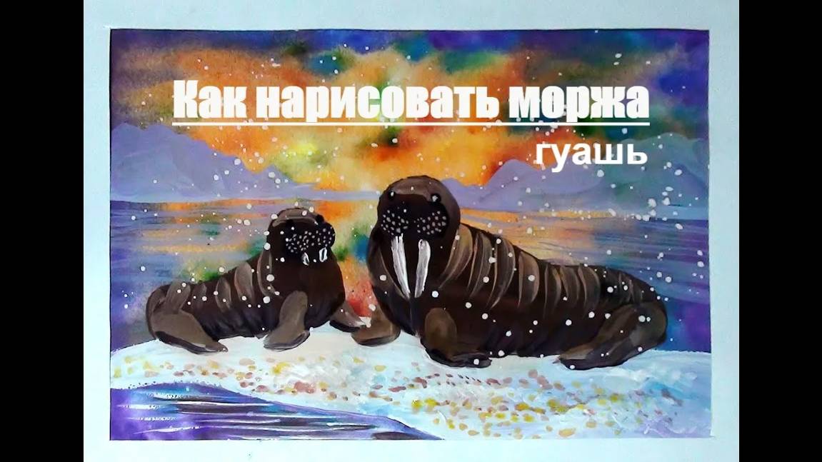 Как нарисовать моржа. Поэтапное рисование гуашью для начинающих. Как рисовать животных.