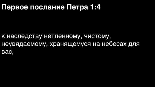 День 318. Библия за год. Библия за год. С митрополитом Иларионом.