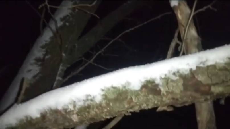 Нахожусь рядом с кладбищем домашних животных.