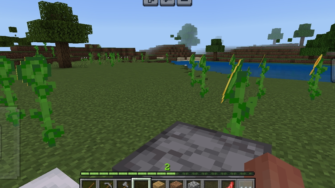 Майнкрафт (2) в (Майнкрафт)