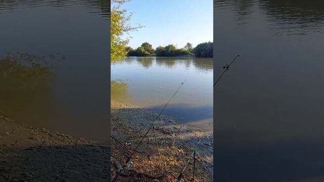Рыбалка