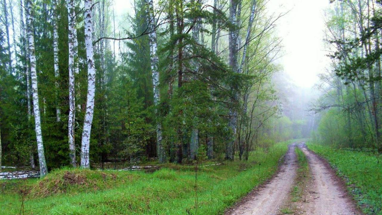 Эдуард  Изместьев - Поля России