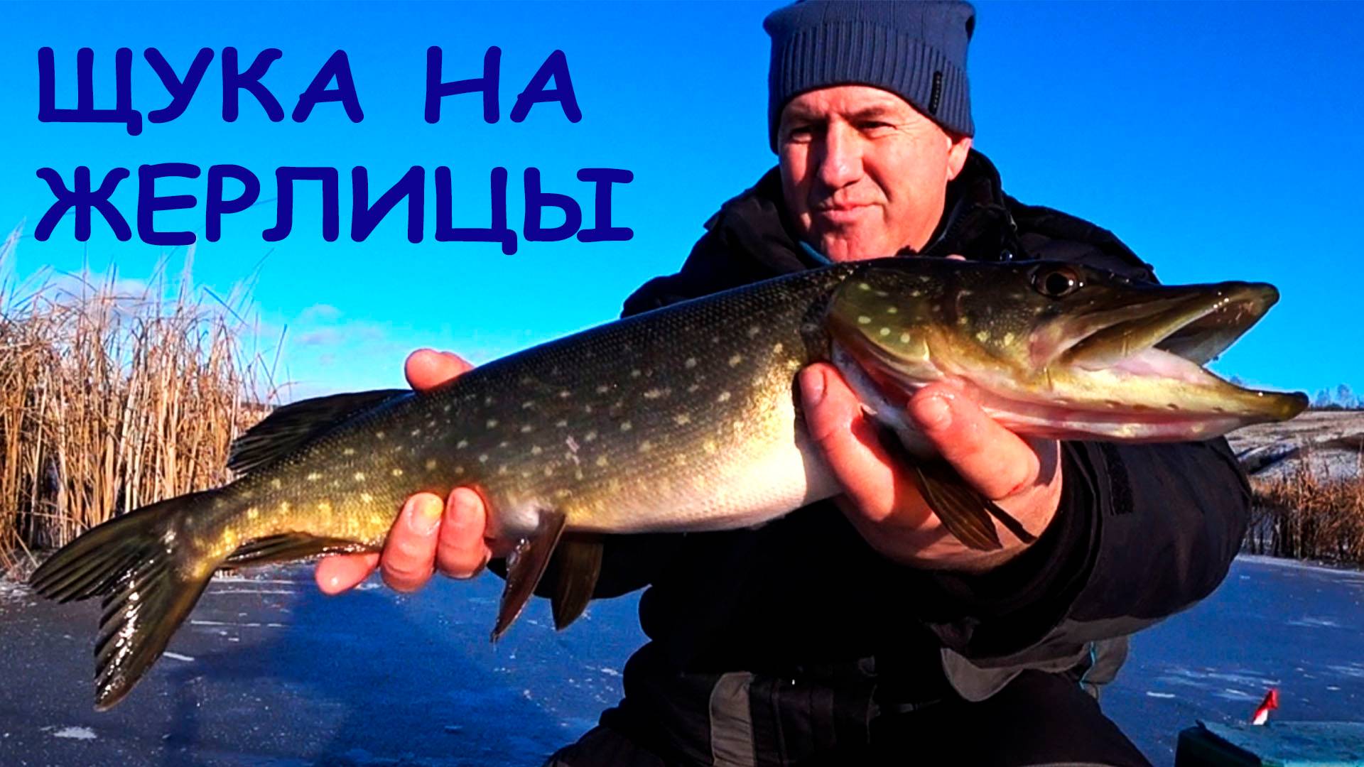 ФЛАГ ЗА ФЛАГОМ поднимался на ЖЕРЛИЦАХ! ЩУКА АКТИВНО ЖРАЛА ПЛОТВУ! Зимняя рыбалка.