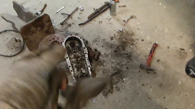 Мотоблок Салют. Земля в редукторе.