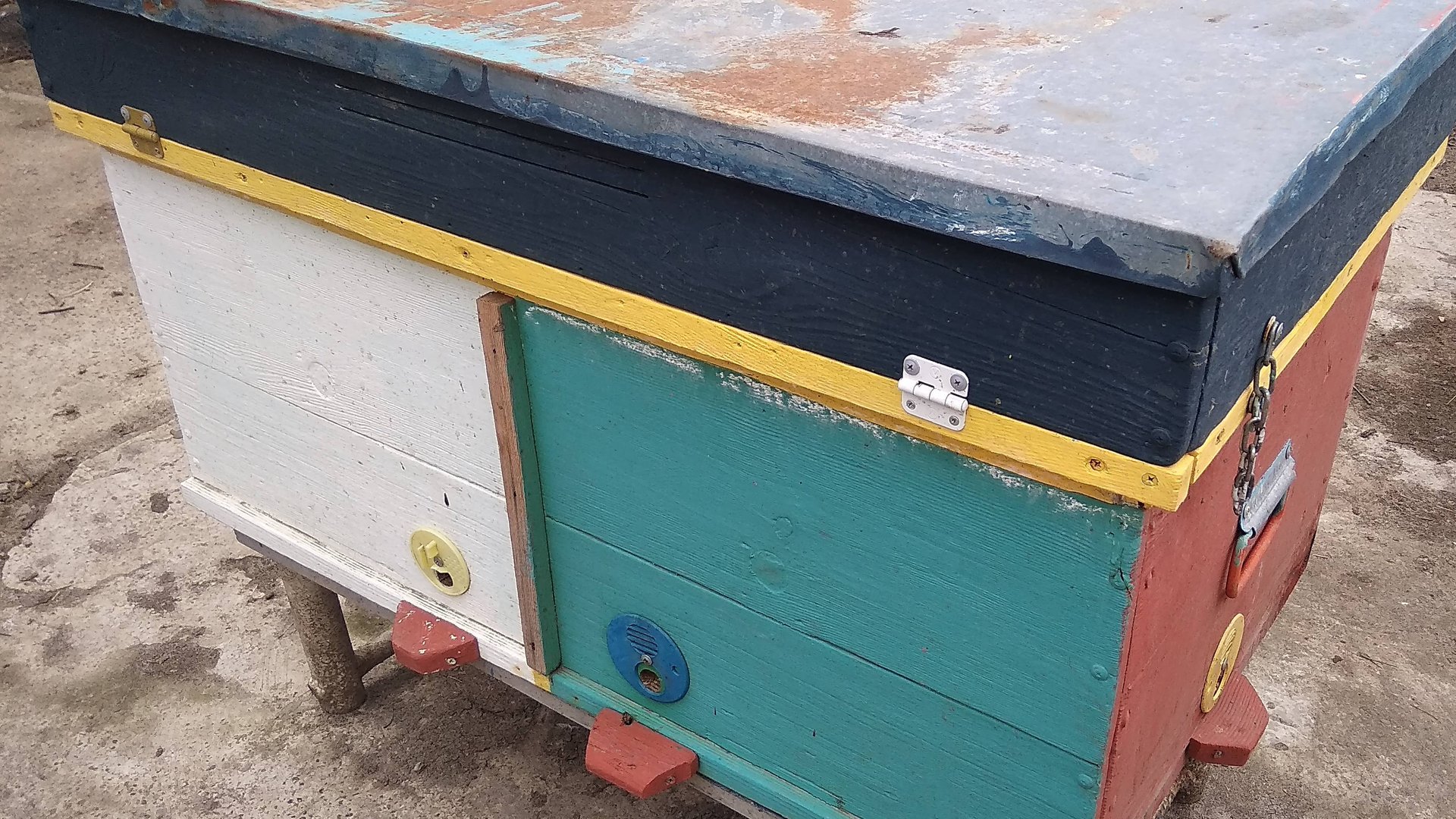 Эх зима,зима пчелы встали на крыло.