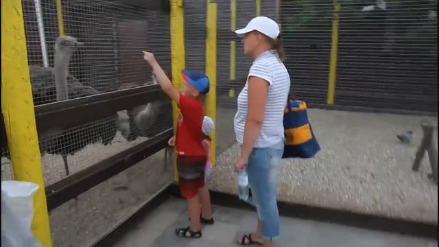 Зоопарк на Вулкане Тиздар. Смотрим животных и птиц в Зоопарке Тиздара. Как мы отдыхали прошлым летом