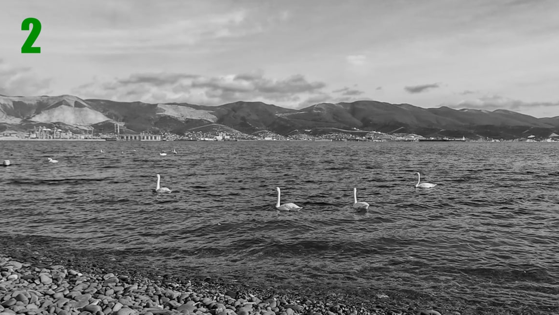 Новороссийск. Январь 5. 2025