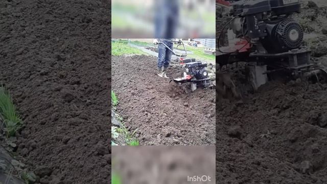 Супер фрезы на мотоблок, можно залипнуть от их работы.