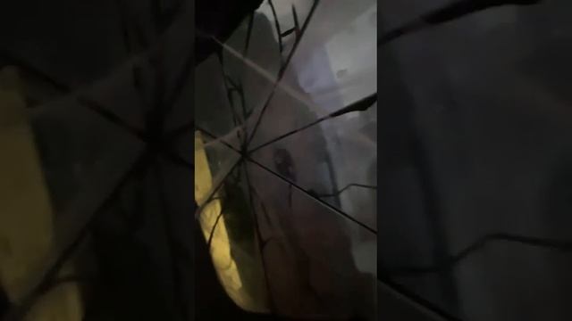 Оборудование "Зеркало с цветными сегментами" для квеста "Уэнсдей"