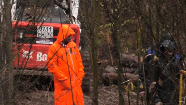 Строительство лесопарка1