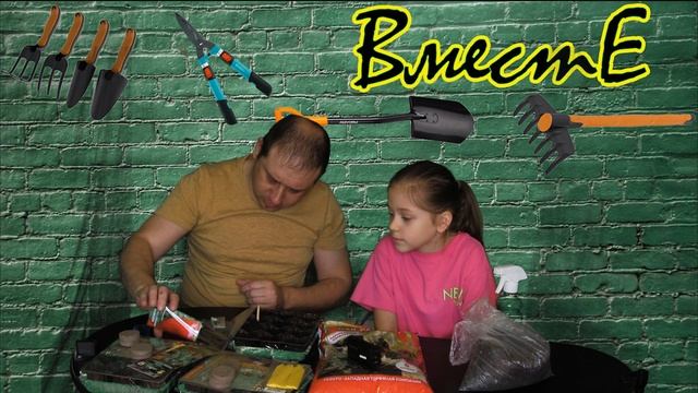 сад огород рассада помидоры огурцы перец семена подготовка огорода