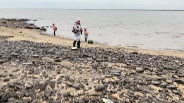 Осень, 2024
