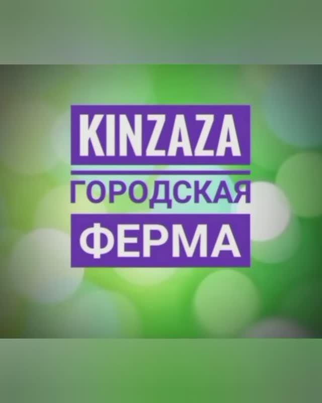 Ирина Будачёва. Создатель, руководитель фермы производства микрозелени KINZAZA, г. Севастополь.