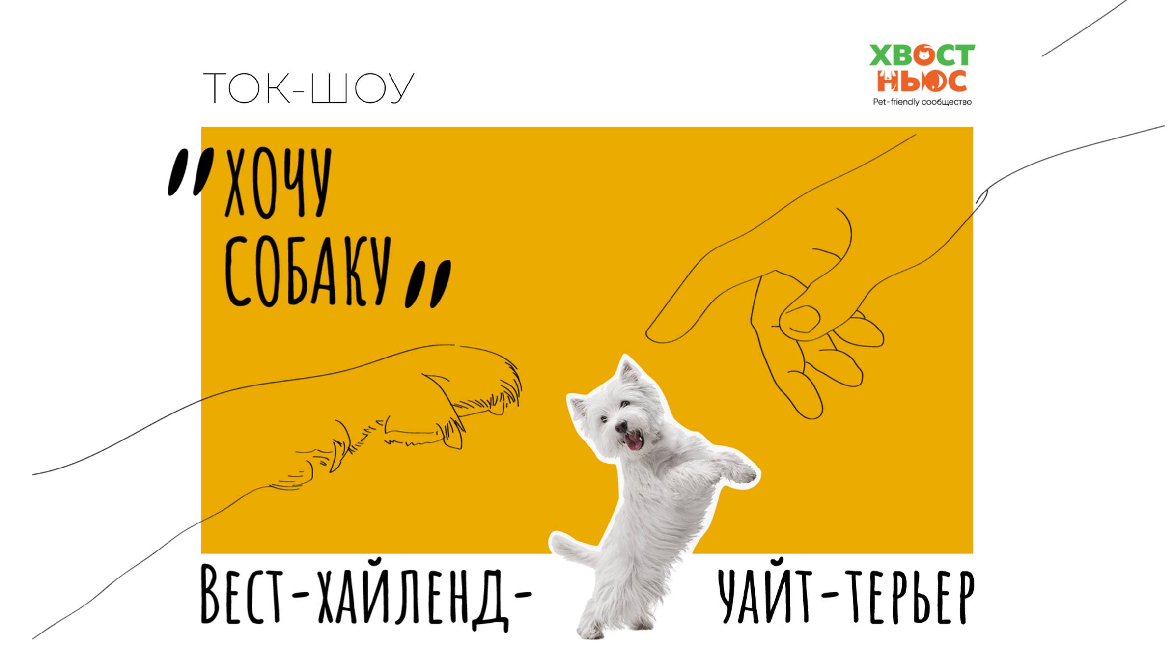 Ток-шоу «Хочу собаку». Вест-хайленд-уайт-терьер I Подходит ли порода для семьи