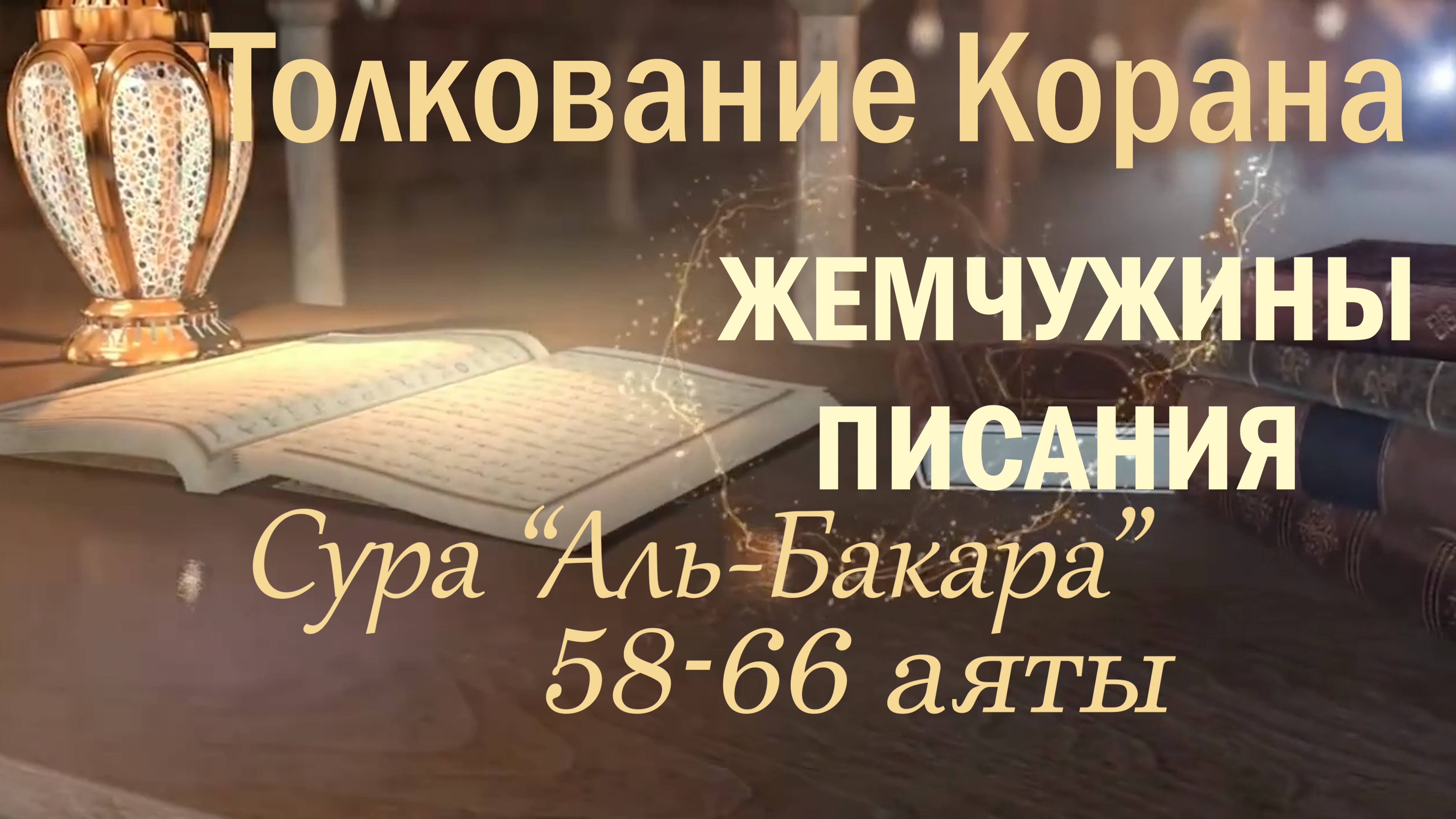 Жемчужины Писания. Сура "Аль-Бакара", 58-66 аяты/ ТОЛКОВАНИЕ КОРАНА