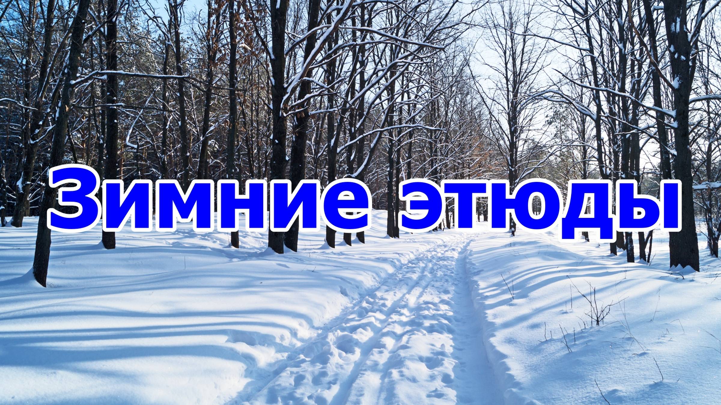 Олег Сапрыкин - "Зимние этюды".
