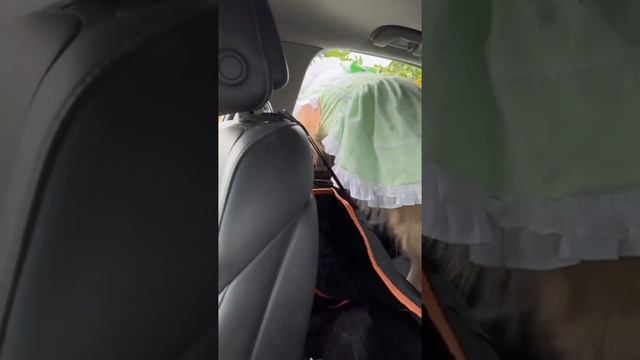 FunnyTimeNowVideo007