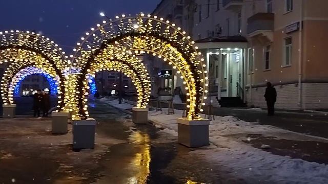 Саранск Январь 2025г.