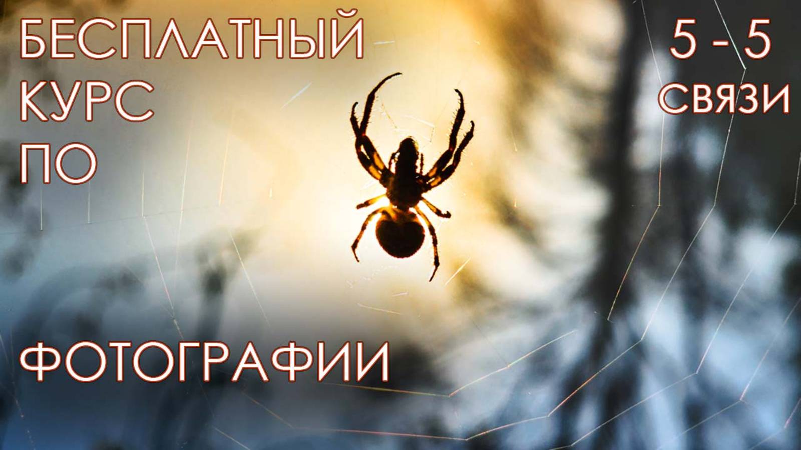 Урок 5-5 Связи контраста в фотографии Визуальные и смысловые связи Их роль в восприятии изображения