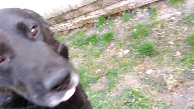 АГРО в сборе урожай 2019