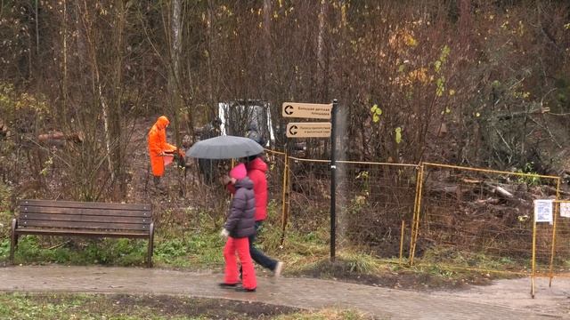 Строительство лесопарка4