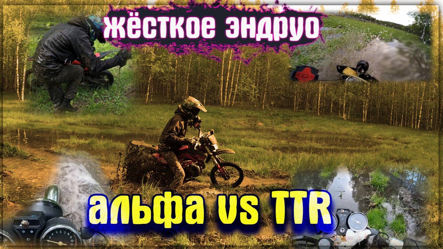 Off-road на мопеде альфа. Внедорожные лесные покатушки