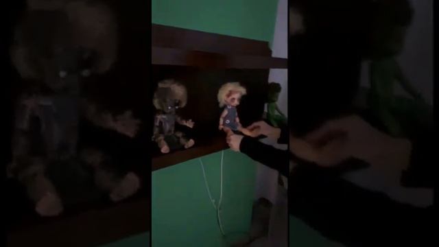 Оборудование "Полки с игрушками" для квеста "Кома"