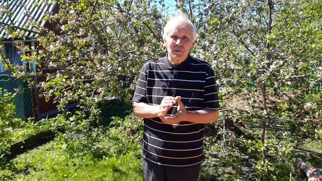 Снежная замять дробится и колется... Есенин Сергей Александрович