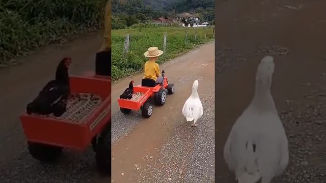 FunnyTimeNowVideo008