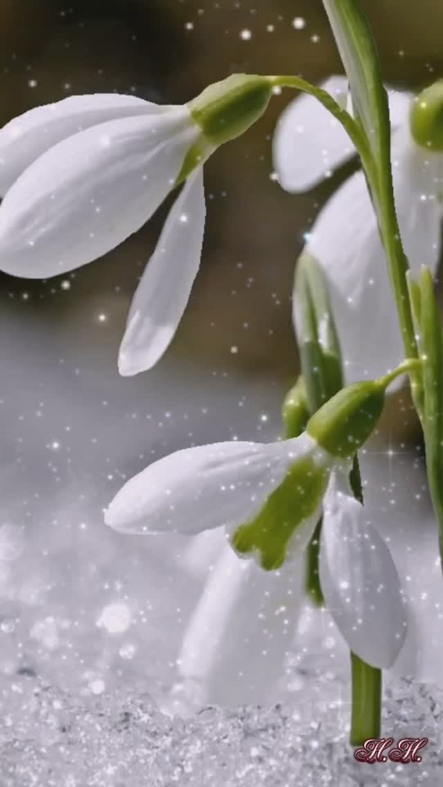 Доброе утро