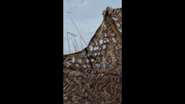 Утка! Зачётный выстрел!