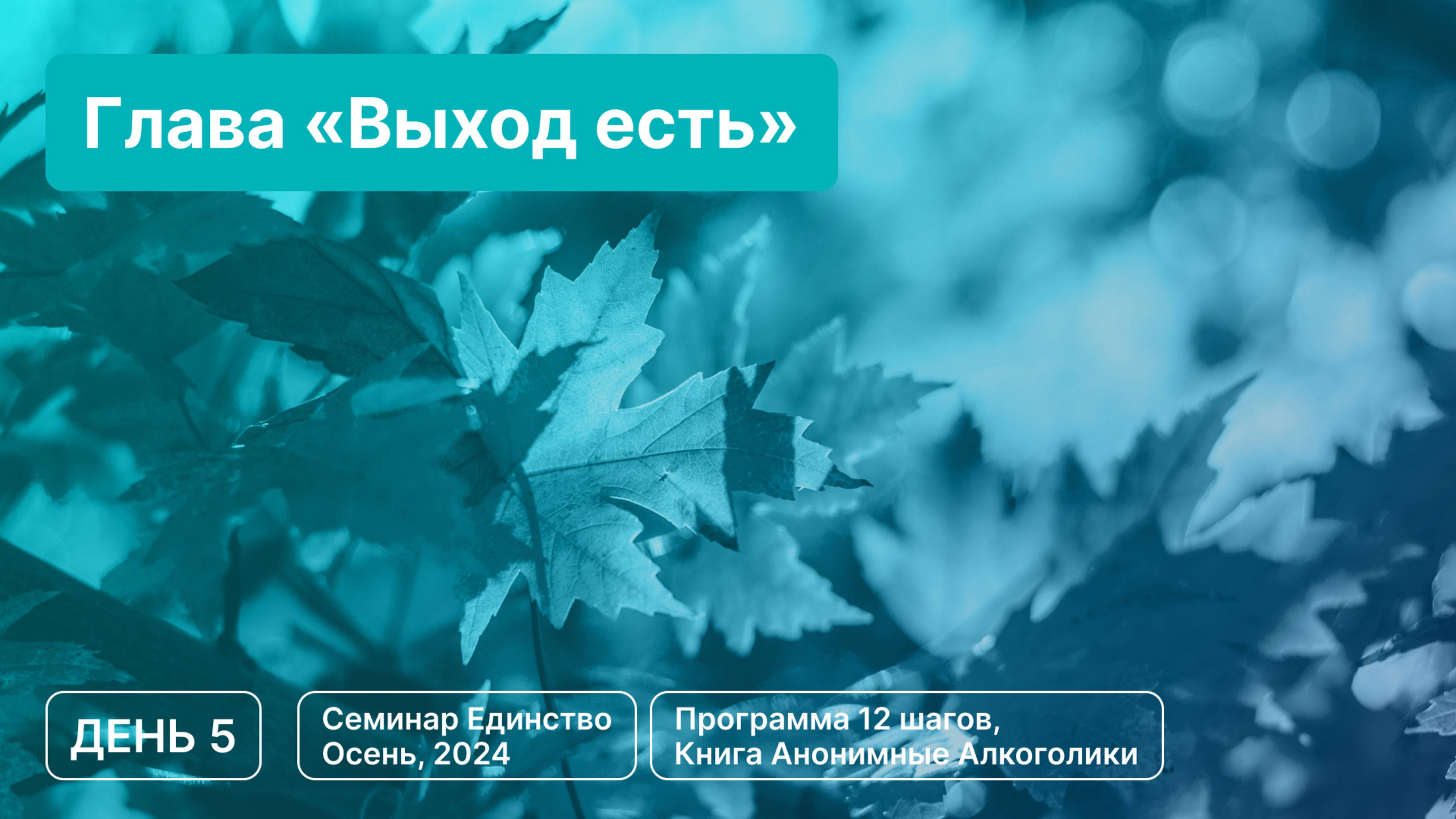 День 5 - Глава «Выход есть»