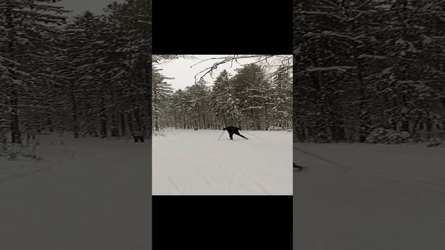 зимняя трасса, сказка