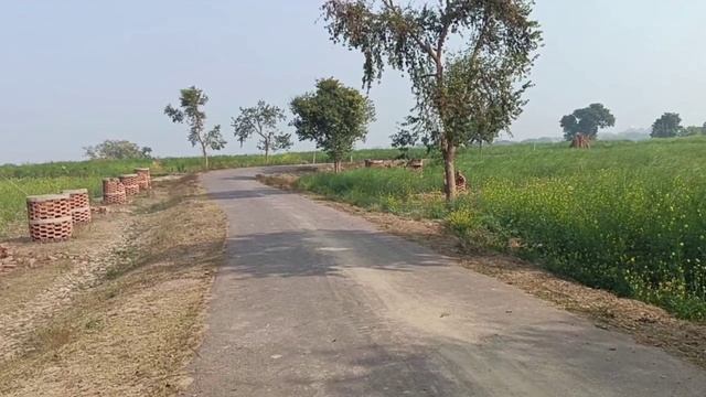 Поездка ув. бхикку Кхеманандо по буддийским местам и храмам. 11 января 2025