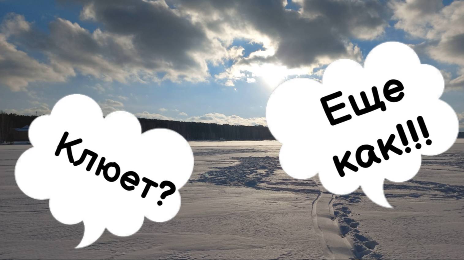 6 января 2025 года Окунь клюет!!!