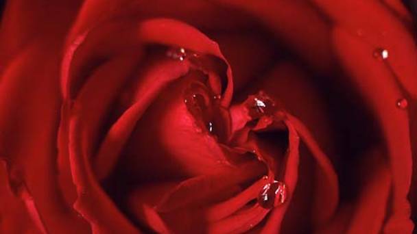 Открытие выставки в редакции "Наше наследие"1991