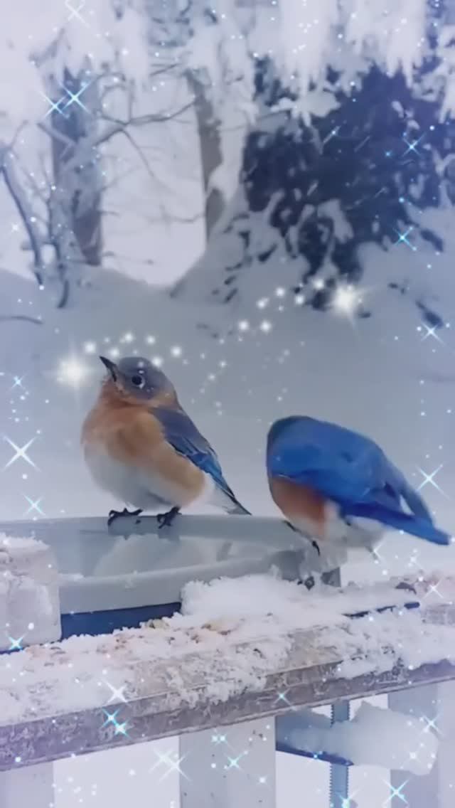 Добрый день!