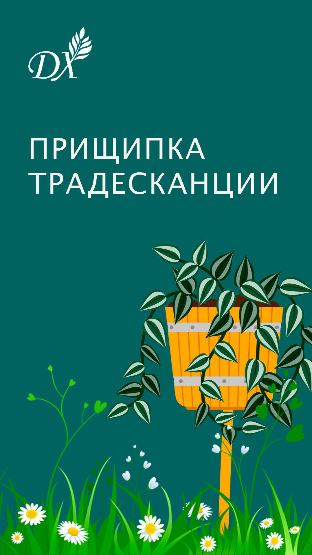 Как разбудить спящие почки