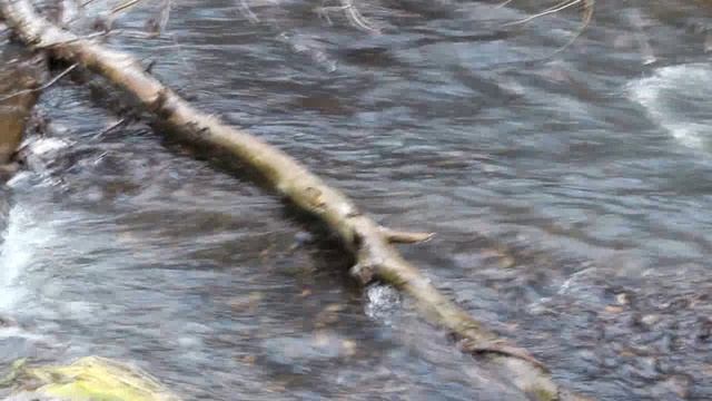 Падал первый снег