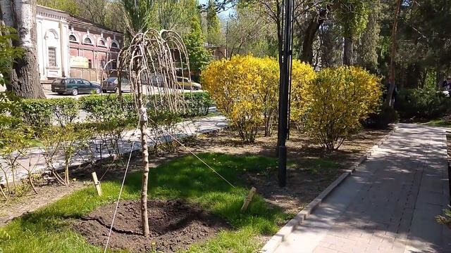 Прогулка по Набережной в Ростове -на -Дону / Красивое видео про Ростов / Anika Z влог