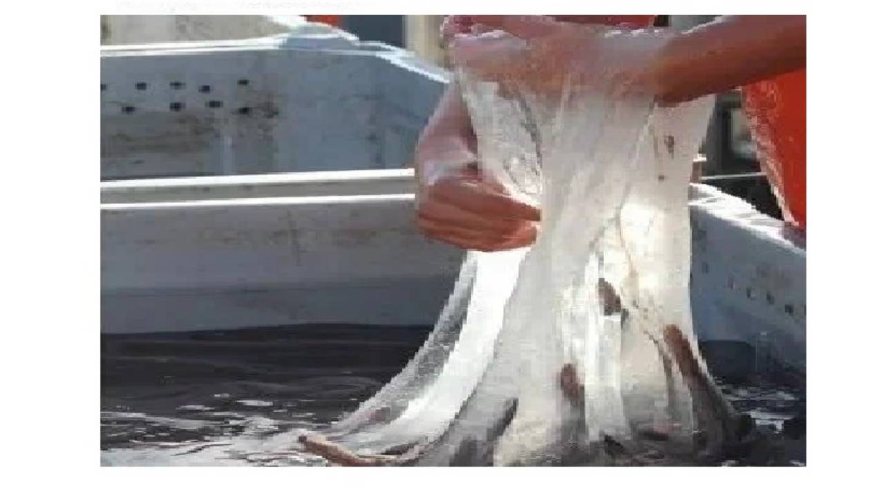 1-0-5+  Источник создаёт вязкое физическое пространство с вектором стягивания к источнику   Миксины